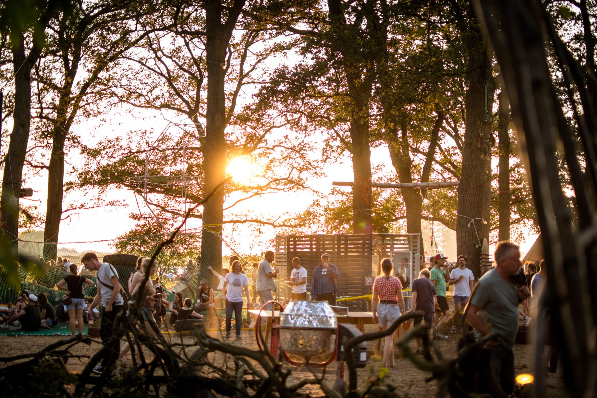 Forest Jump Festival: Es muss knistern im Kopf - In the middle of Nüscht